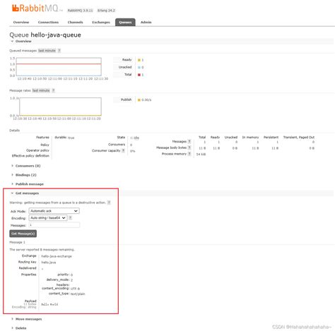 rabbitmq简单测试（java） rabbitmq报文测试 csdn博客