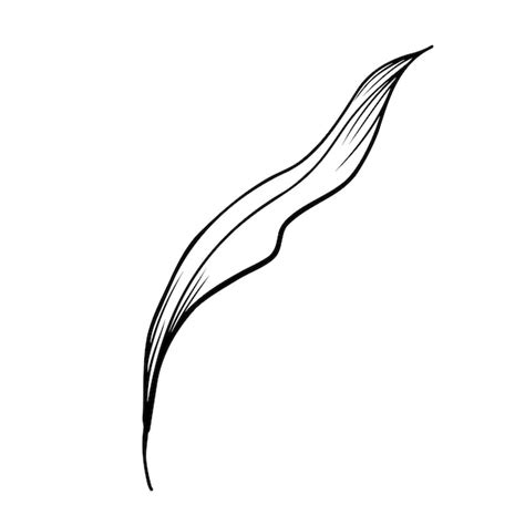 잎 벡터 일러스트 레이 션의 선형 식물 클립 아트 프리미엄 벡터