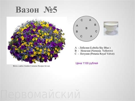 Цветочные композиции в горшках
