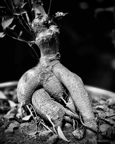 Mithun Prabhu On Linkedin Culturalroots Heritage Growth Identity