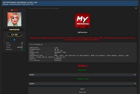 Bjorka Beraksi Lagi Kali Ini Bocorkan 44 Juta Data MyPertamina Teknologi