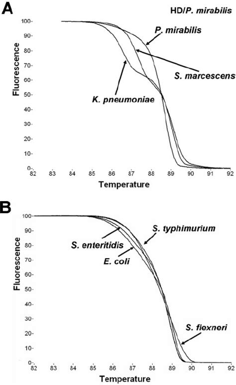 Derivative Plots For S Saprophyticus And S Bovis Download