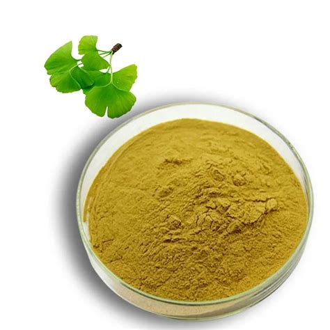 Ginkgo Biloba Extract 100 Natural