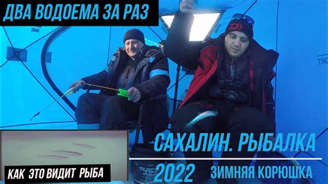 Махалки или гирлянда??? Посмотрим что эффективнее. - YouTube