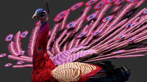 Peacock A1 Animated 3d Model By Animated3d