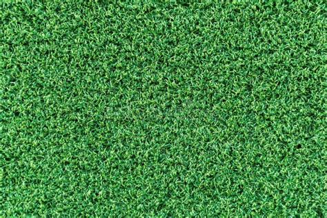 Grass Texture Or Grass Background Green Grass For Golf Course Soccer