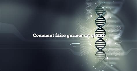 Comment Faire Germer Un Gland Diffusonslascience