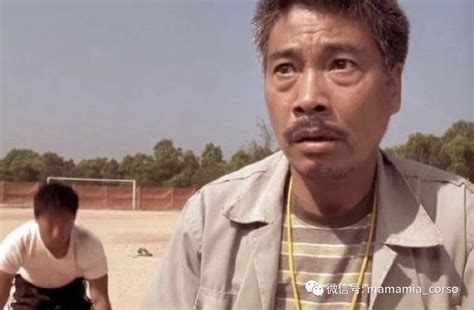 达叔，晚安，意大利语翻译达叔经典台词。 Mamamia意大利语学校