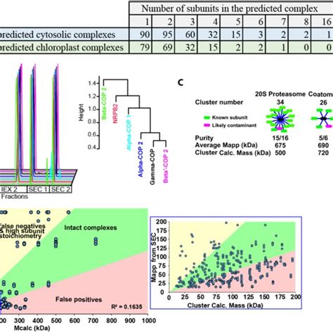 Protein Complex Predictions And Their Evaluation Using Known Complexes Download Scientific