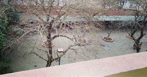 Physics From Scratch