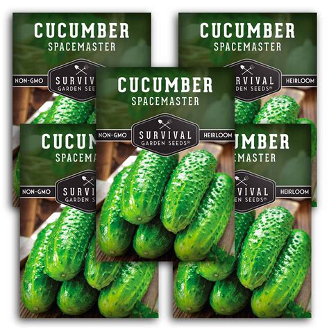 Spacemaster Cucumber Seed For Planting Survivalgardenseeds