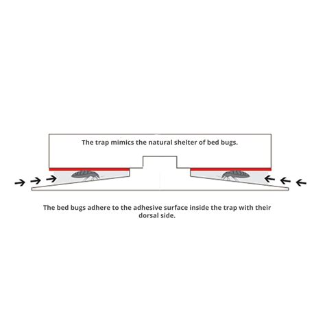 Circular Bed Bug Trap Ghilotina