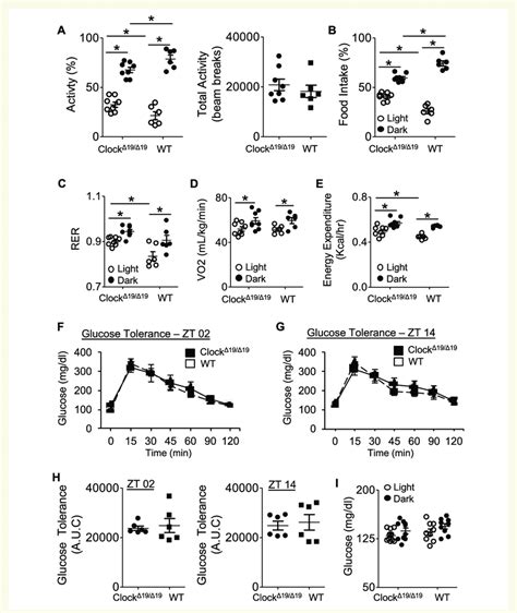 Behavioural And Metabolic Rhythms In Female Clock D19d19 And Wt Mice