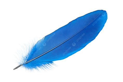 Bulu Biru Cerah Dengan Tekstur Lembut Bulu Biru Bulu Yang Cerah