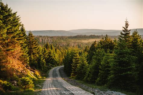 15 Unforgettable Things To Do In The Harz Mountains