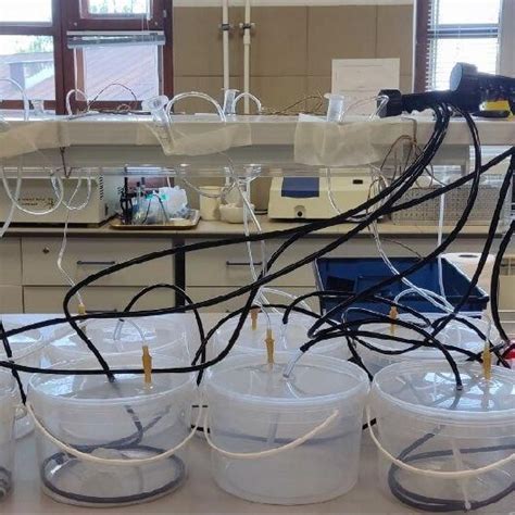 Photobioreactors Used For Laboratory Modelling Of Co 2 Capturing Download Scientific Diagram