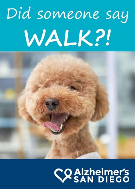 Vote Walk4alz Pet Contest Alzheimers San Diego