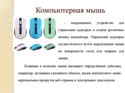 Виды компьютерных мышек Online Presentation
