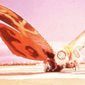 Mothra Rotten Tomatoes