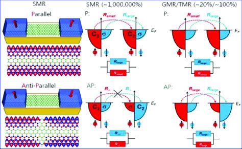 Schematic Zgnr Based Spin Valve Device Left With Parallel And Download Scientific Diagram