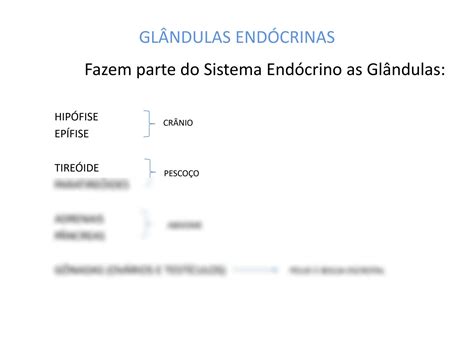 SOLUTION Anatomia sistema endócrino Studypool