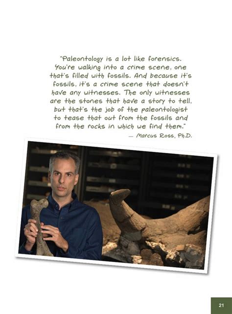 Uncovering The Truth About Dinosaurs Viewer Guide By Institute For
