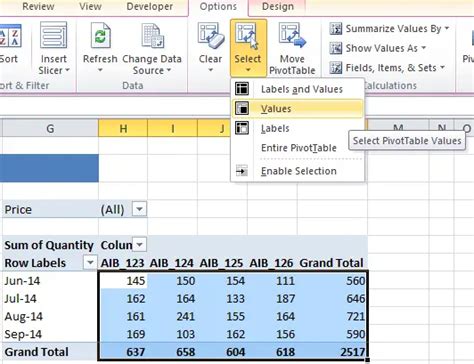 Select All Or Part Of A Pivot Table