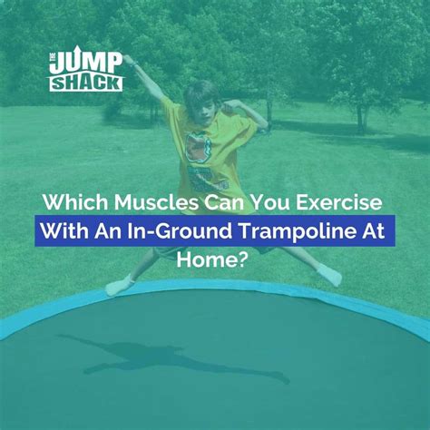 Which Muscles Can You Exercise With An In Ground Trampoline