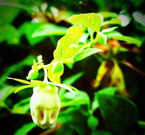 化疗后何时血小板最低？做到心里有数，就知道化疗血小板低怎么办