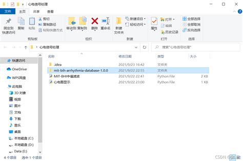 Python Mit Bih 数据集心拍分类 从r点提取到19类r点心拍分类到aami标准5分类的数据集打包实现 良心详解版 全网唯一mit