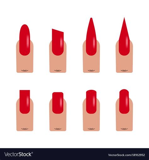 Nails Shape Icons Flat Vector Image On Vectorstock