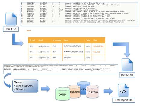 general scheme of how the genome analysis tool platform works the user
