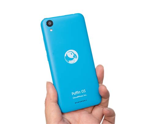 在 Puffin Os 手機上安裝 Apk 程式或檔案的方法 Install Apk To Puffin Os Phone 3c 達人廖阿輝