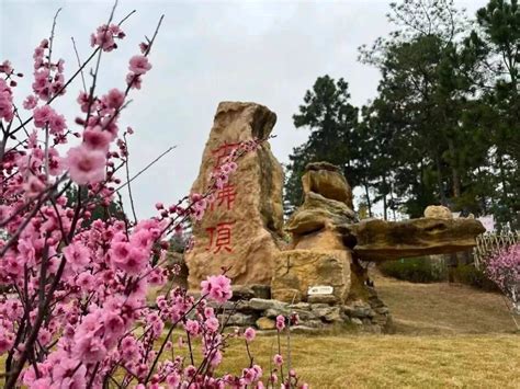 内江人，免票或半价！四川多景区推出妇女节优惠活动门票女性游客