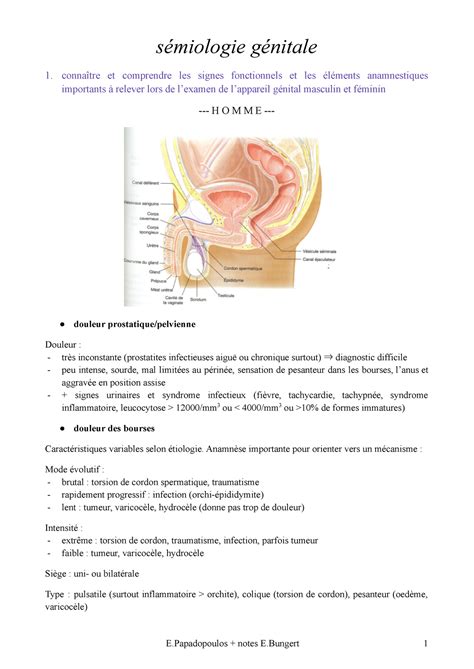 Sémiologie génitale module génital BL sémiologie génitale 1