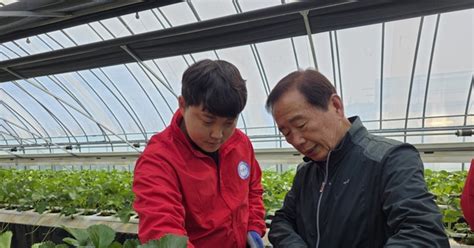 딸기 농사 꿈꾸는 청년들 ‘농협청년농부사관학교 모였다