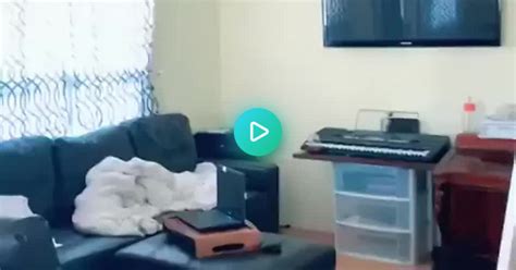 How To Summon Your Cat Album On Imgur