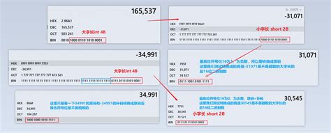 223 C语言中的整数类型及类型转换为什么强制类型转换值发生改变？带你从机器码的角度分析不同字长整数之间的转换 Csdn博客