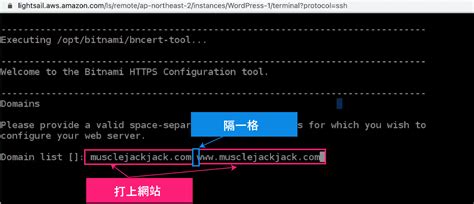 Wordpress安裝教學 利用aws Lightsail建立wordpress網站 鬍子科技學院