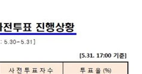 64지방선거 사전투표율 오후5시 전국 10돌파 전남 무려 1686