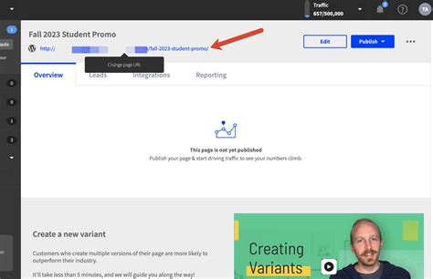 Connecting Your Domain Using The WordPress Plugin Documentation