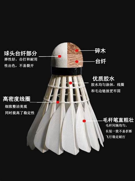 晶晶d8 羽毛球装备哪里买 中羽在线