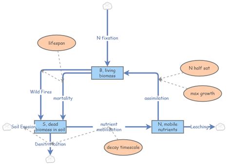 Clone Of Terrestrial N Cycle Model Template Insight Maker