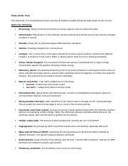 Study Guide Final Lecture Docx Study Guide Final The Final Exam Is A Comprehensive Exam