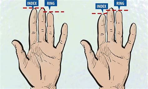 How To Finger Yourself If Your A Guy Haven Has Turner