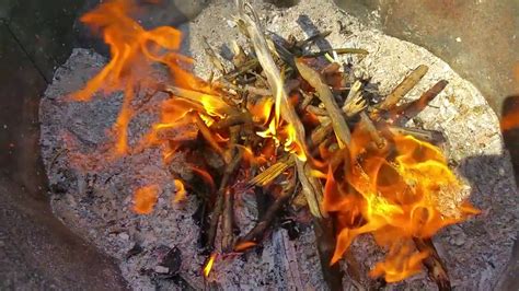 조리도구 없이 불 피워 굴 구워먹기 Youtube