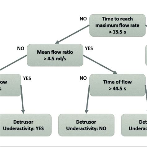 Decision Making Tree Graph Allowing To Estimate Impaired Detrusor