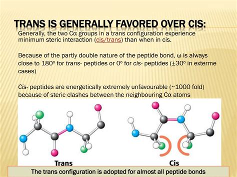 Ppt Protein Folding Powerpoint Presentation Free Download Id2591436