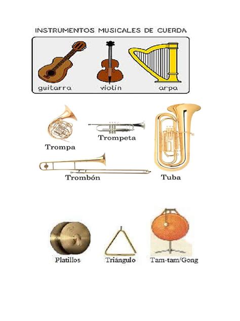 Instrumentos Musicales De Cuerda De Viento Y Percusion Pdf
