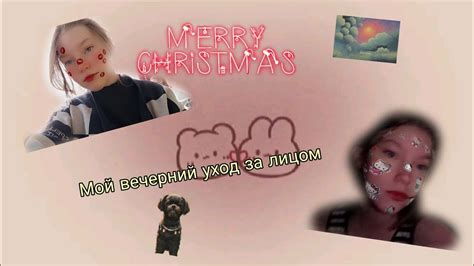 The Dasha Youtube